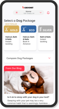 Mobile Pet Grooming Service | Dog Groomer Near You | Instant Booking