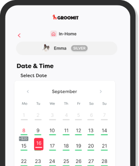 Mobile Pet Grooming Service | Dog Groomer Near You | Instant Booking
